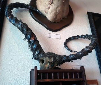 Smoke and Mirrors | DOLLY PYTHON