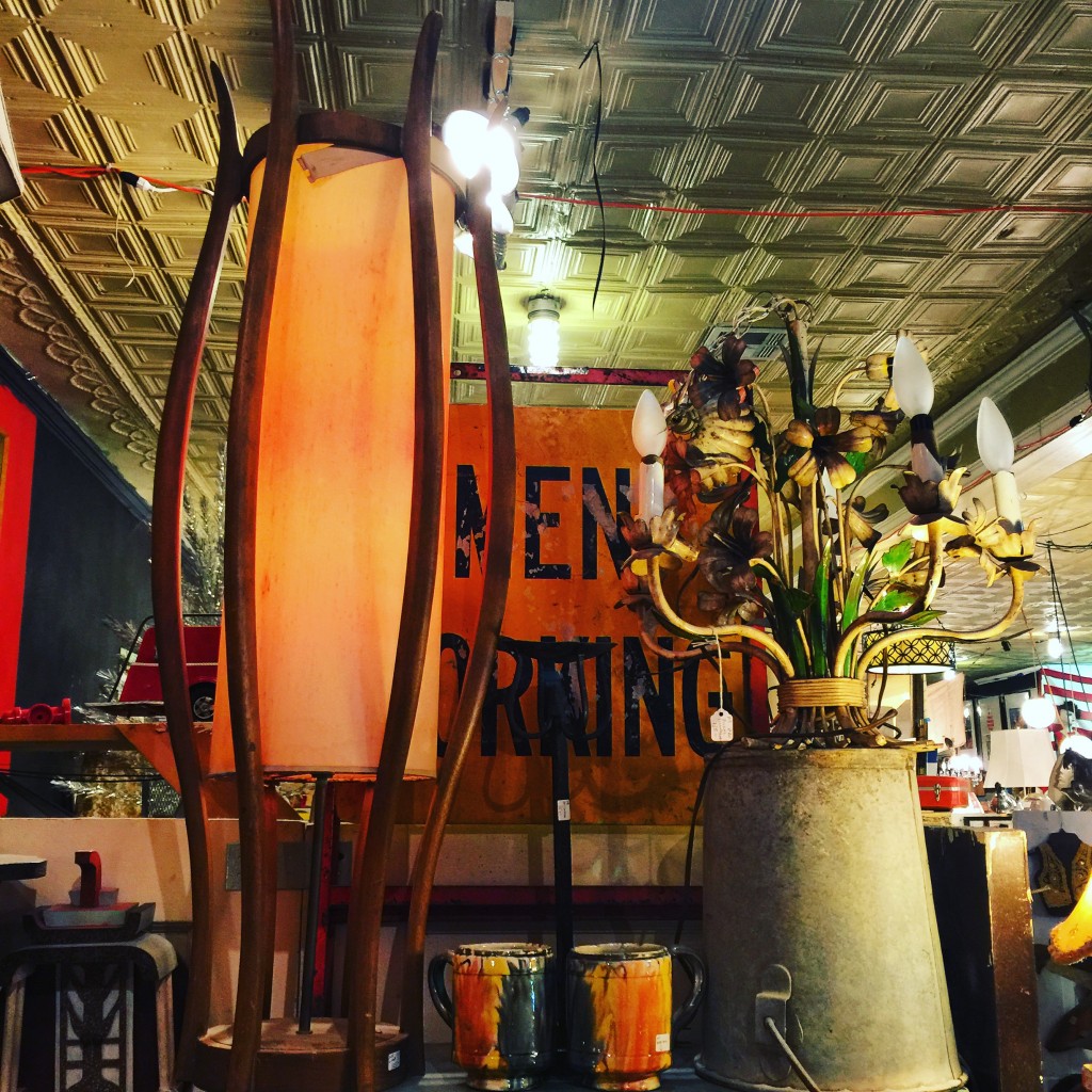 Lighting!! | DOLLY PYTHON