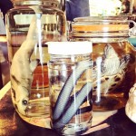 Dead Things In Jars | DOLLY PYTHON