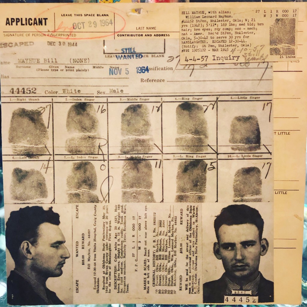 ephemera | DOLLY PYTHON