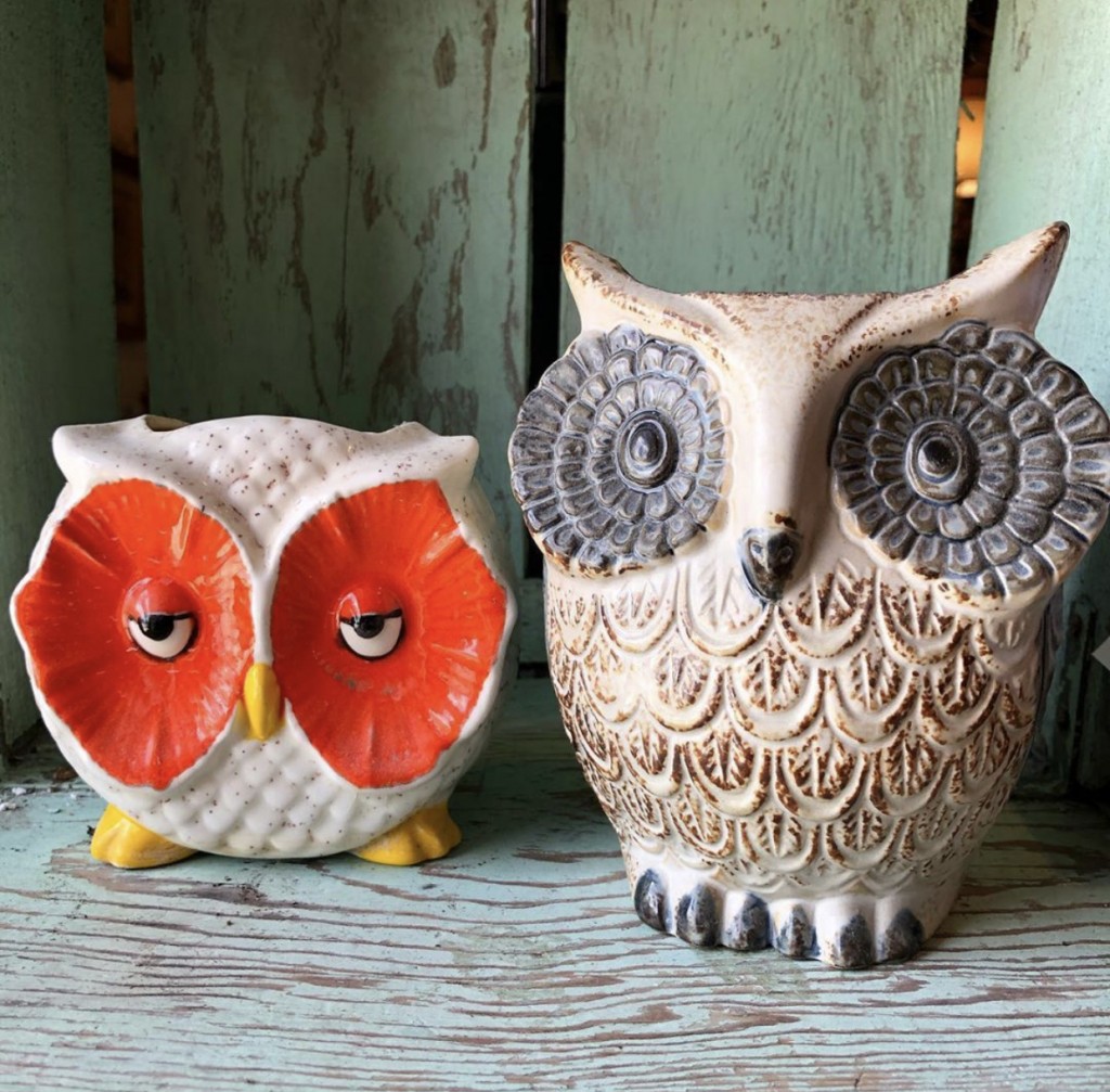 Owls | DOLLY PYTHON