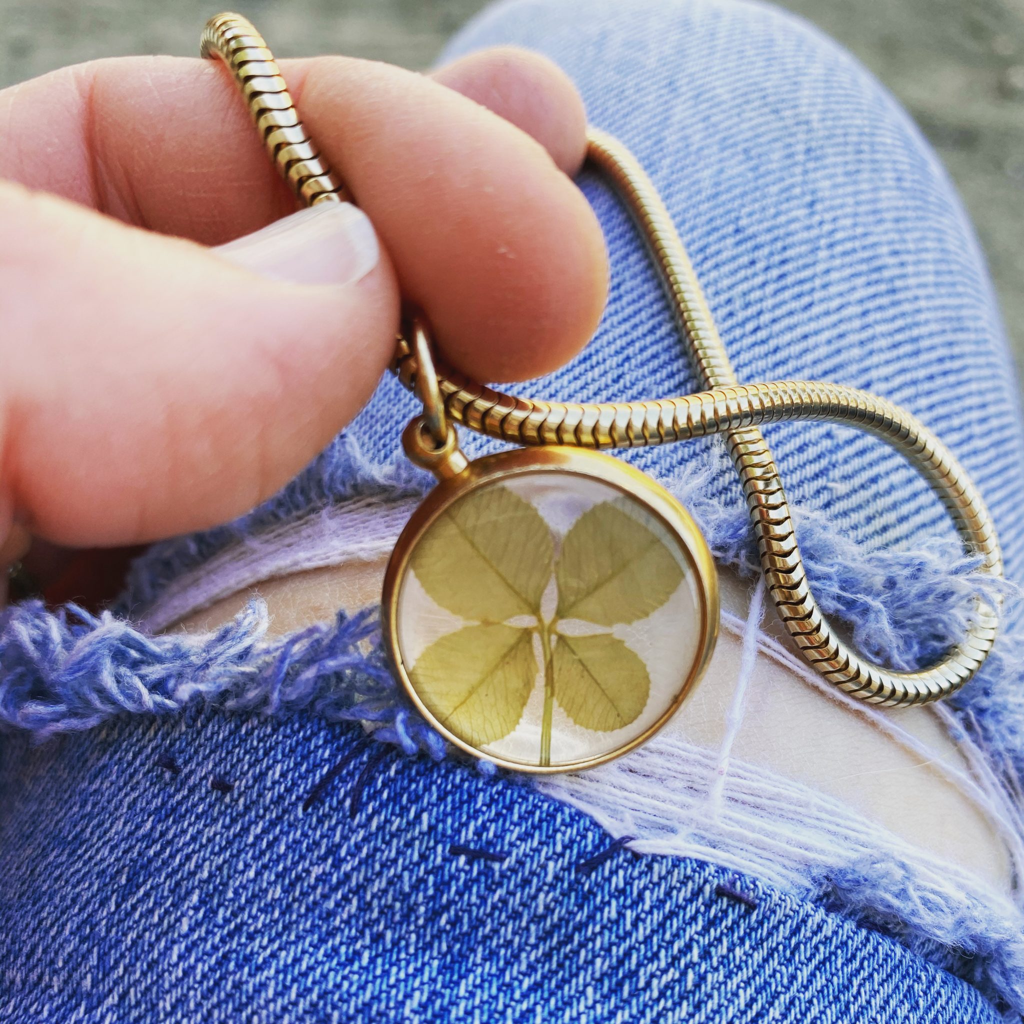 4 leaf Clover | DOLLY PYTHON