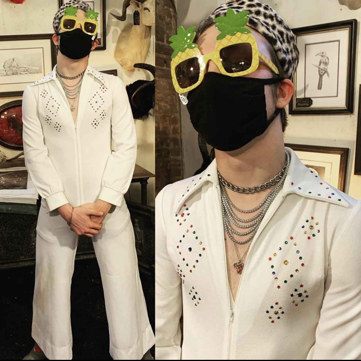 Elvis | DOLLY PYTHON