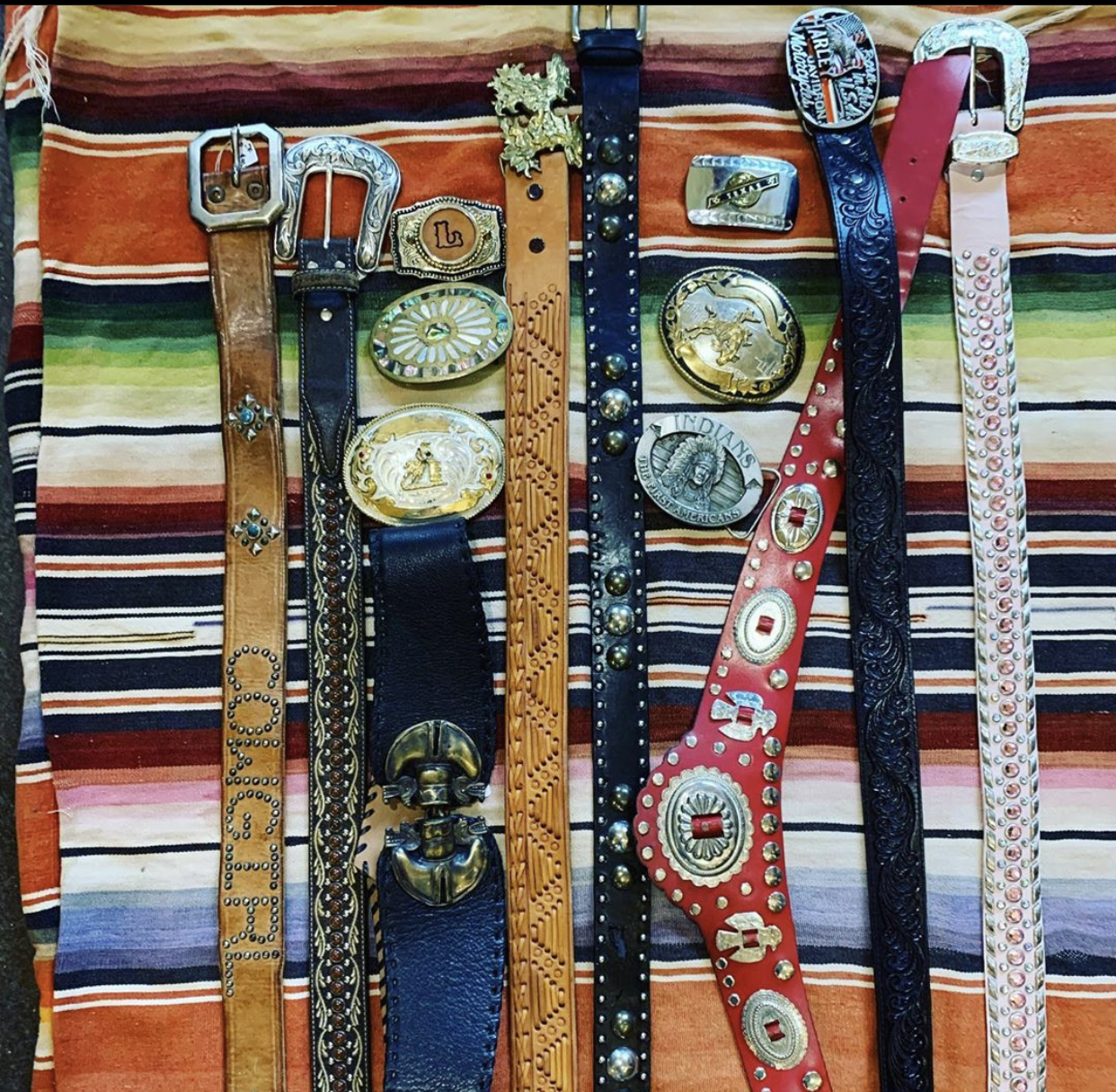 Accessories | DOLLY PYTHON