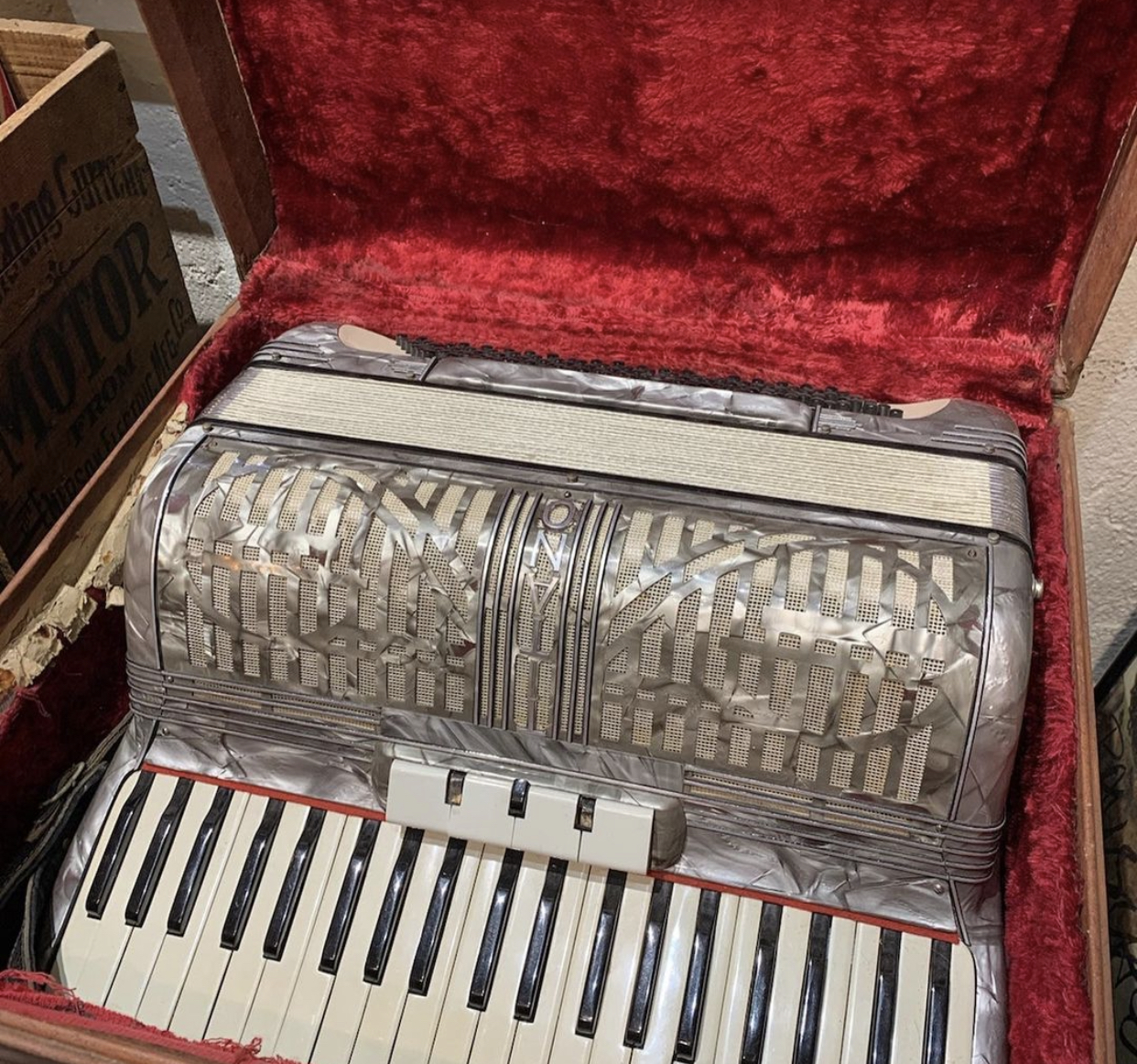 Looney Tunes!! | DOLLY PYTHON