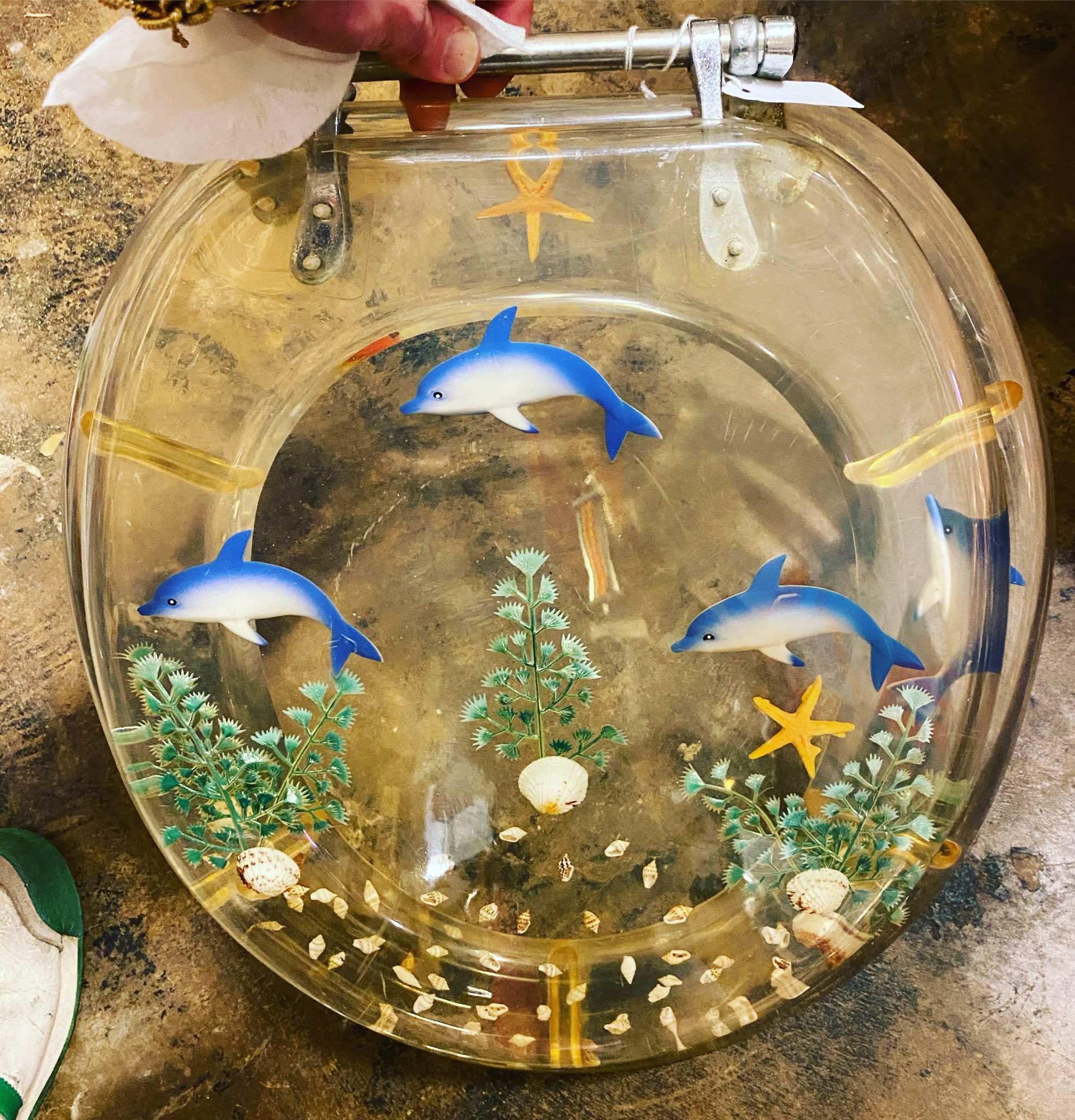 Happy Potty Seat! | DOLLY PYTHON