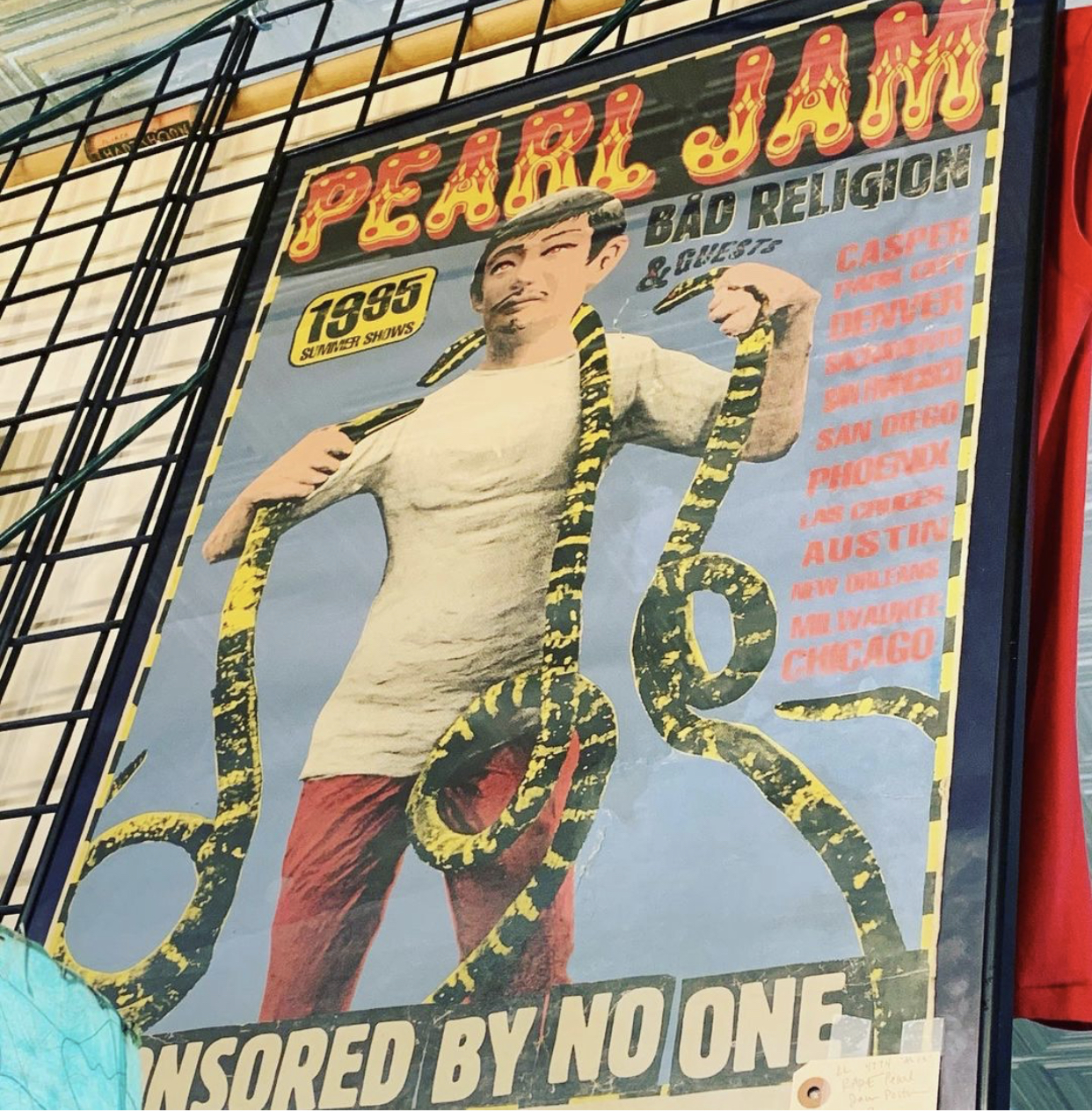 Pearl Jam | DOLLY PYTHON
