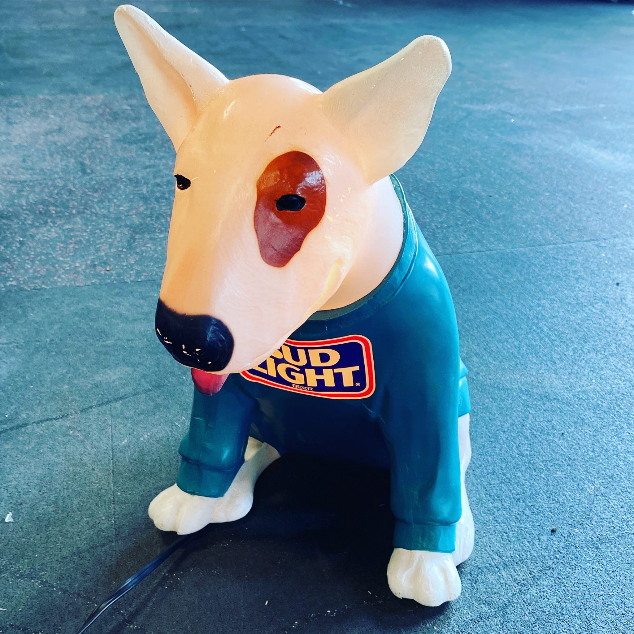 Nostalgia | DOLLY PYTHON