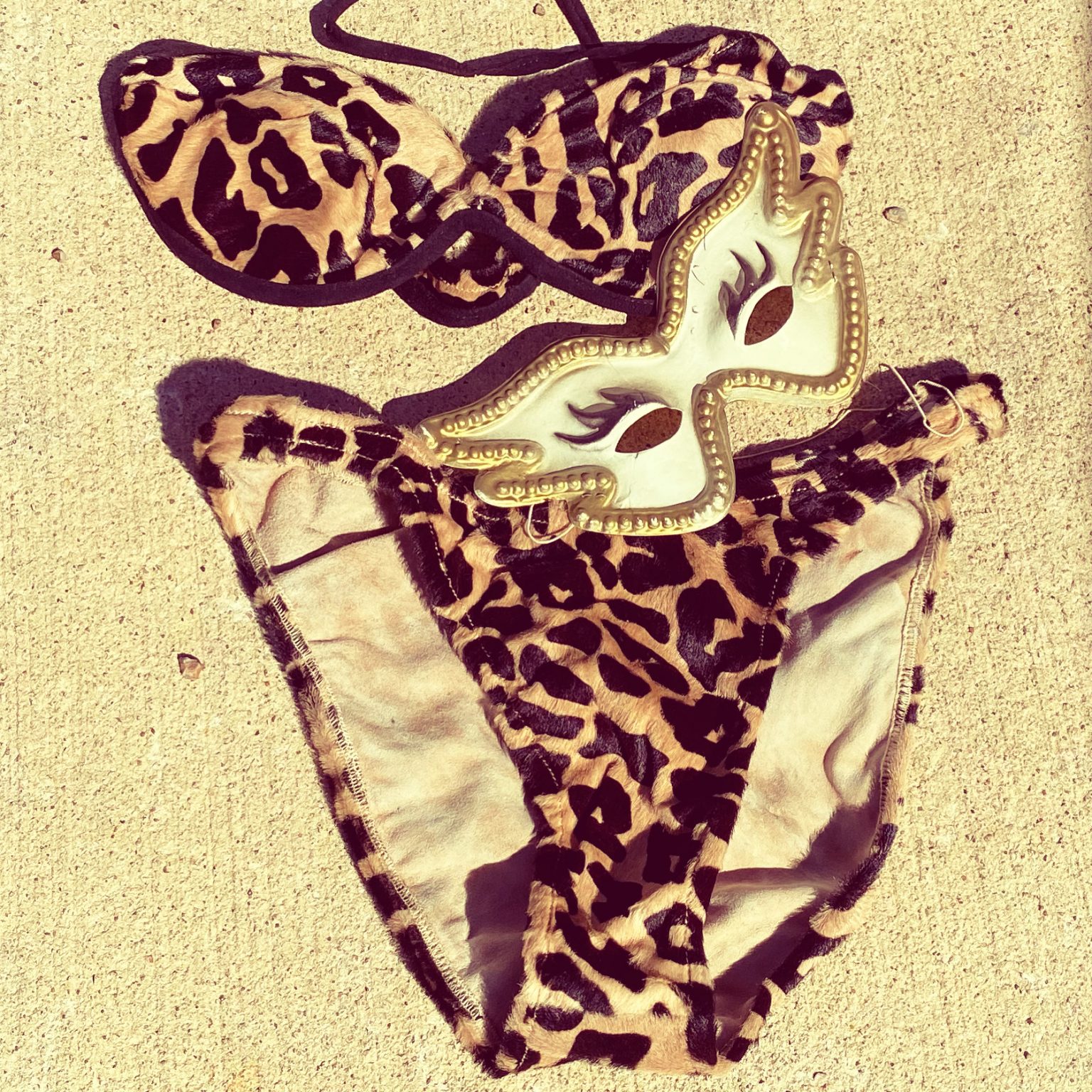 erotica | DOLLY PYTHON