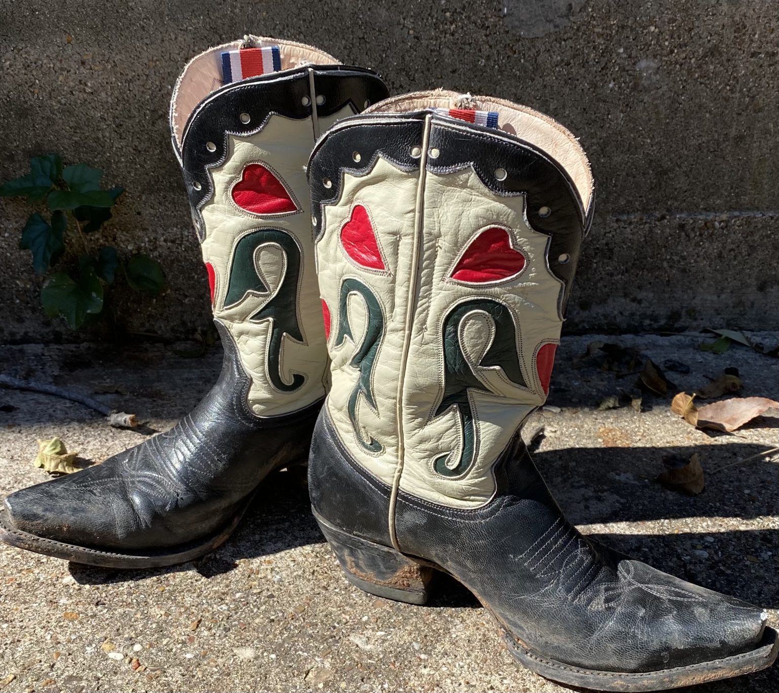 Cowboy boots | DOLLY PYTHON