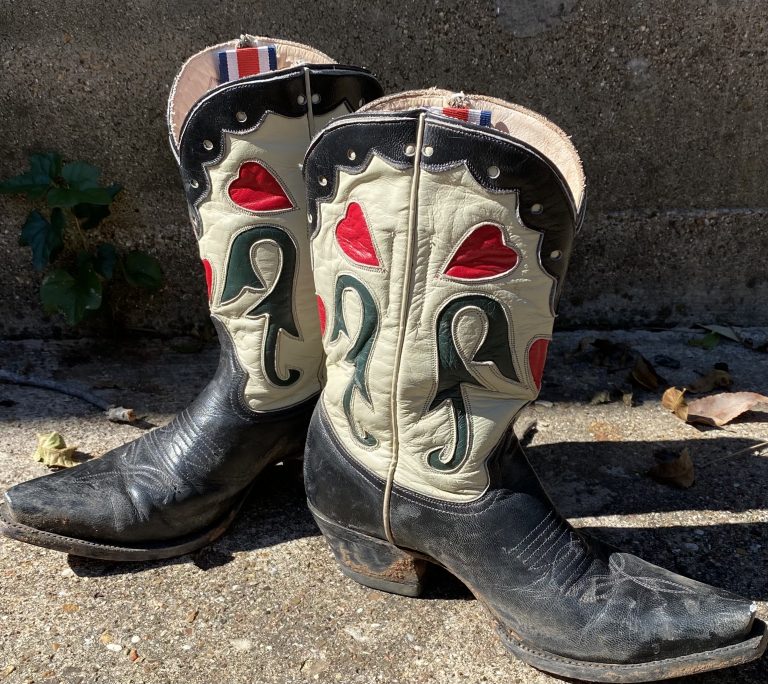 Cowboy boots | DOLLY PYTHON