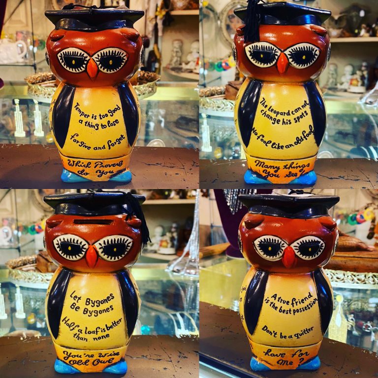 Wise Old Owl | DOLLY PYTHON