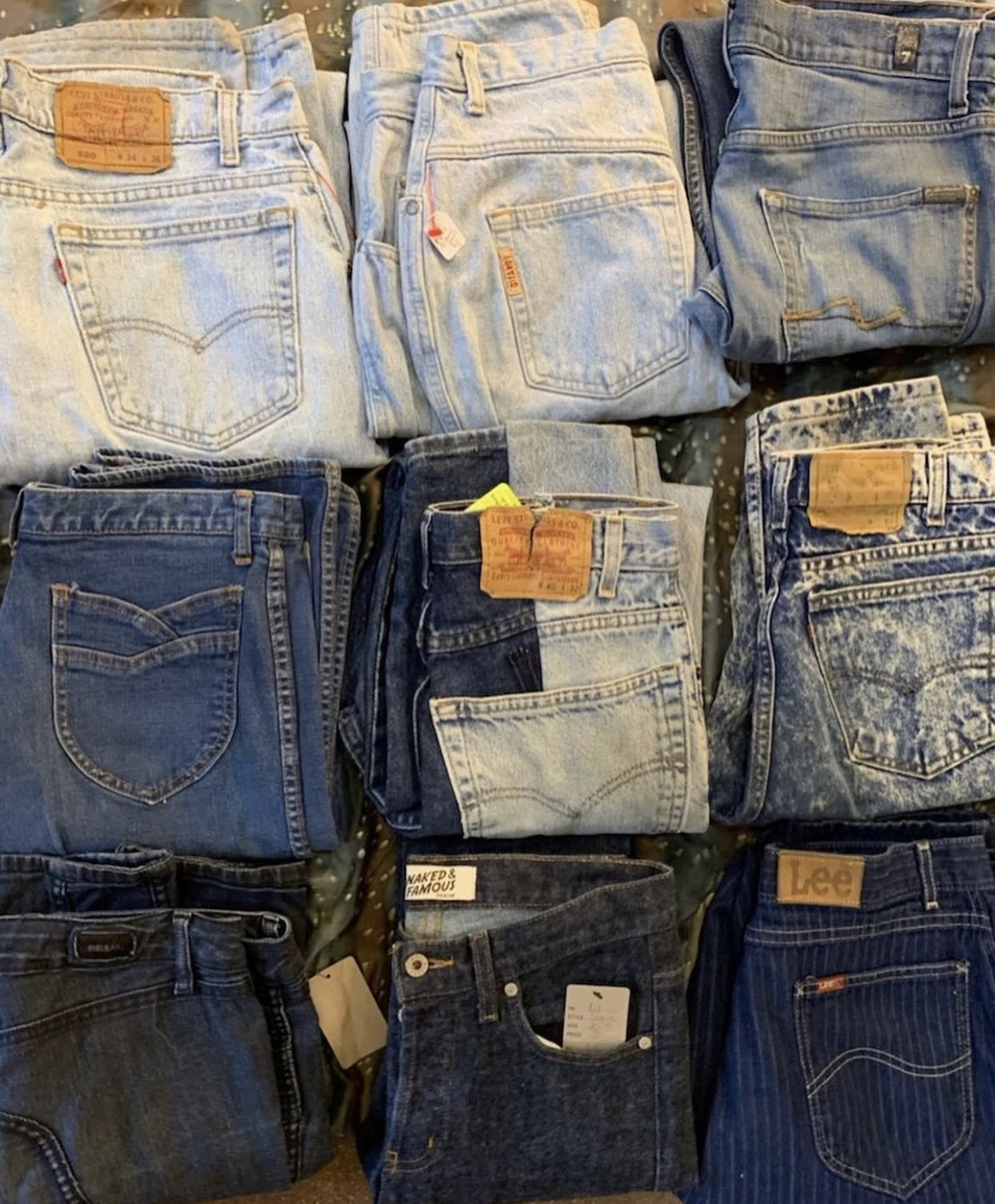 In Those Jeans | DOLLY PYTHON