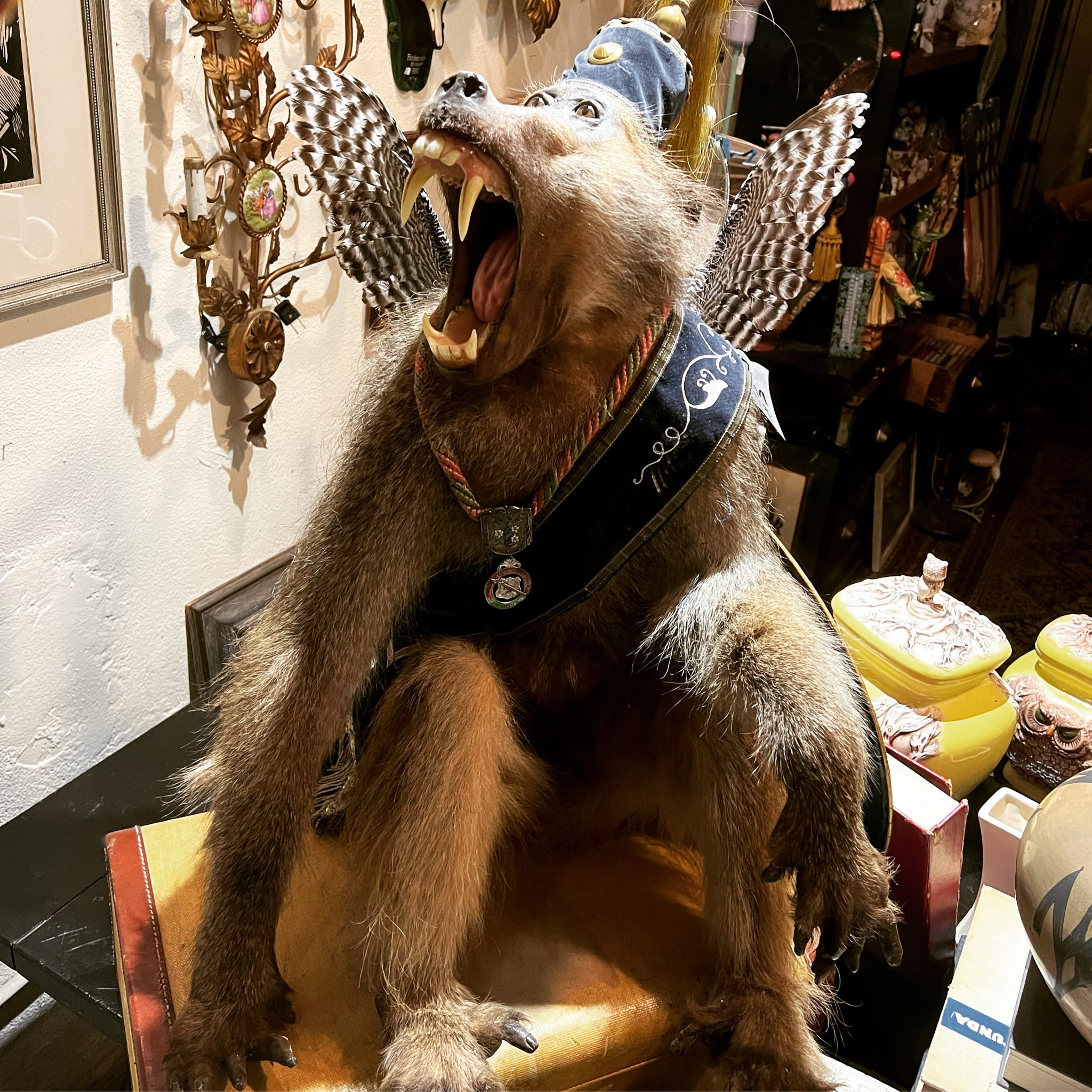 taxidermy | DOLLY PYTHON