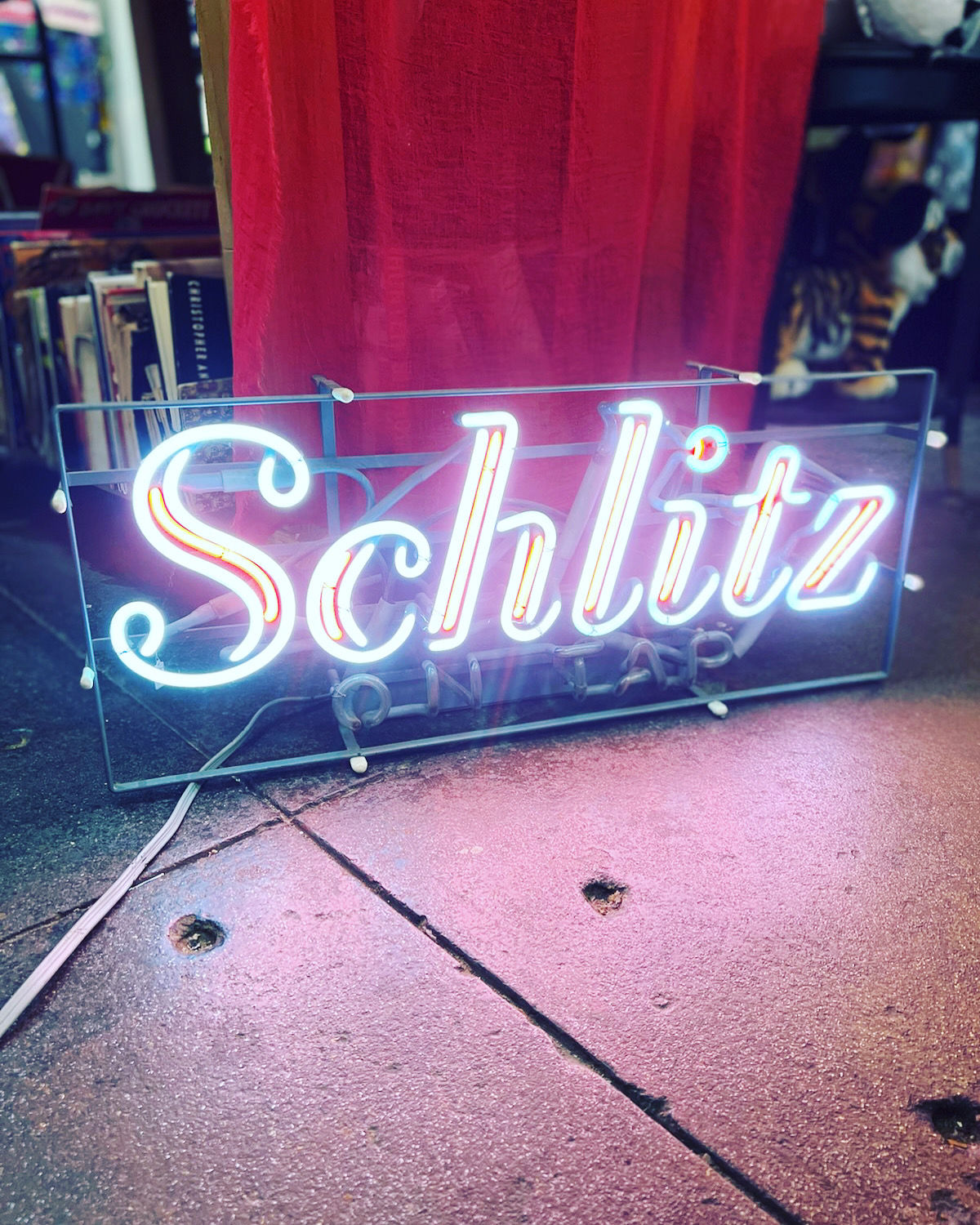 signs | DOLLY PYTHON | Page 3