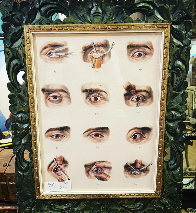 medical | DOLLY PYTHON