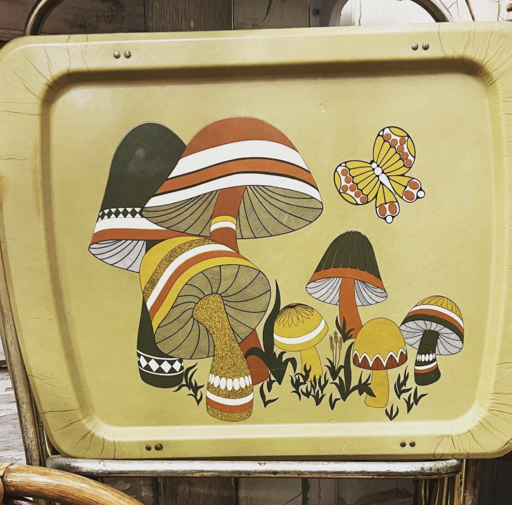 Merry Mushrooms | DOLLY PYTHON