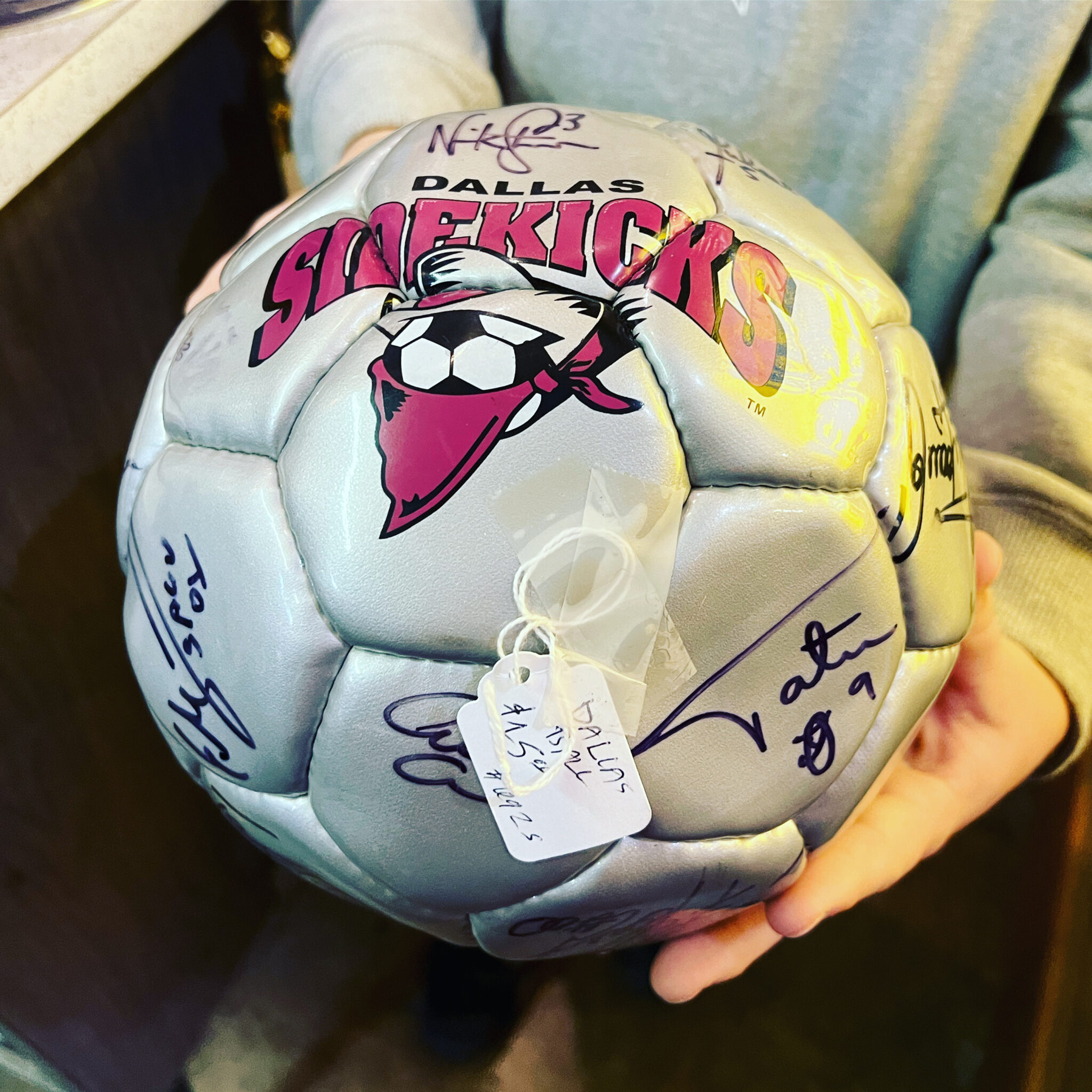 Sidekicks | DOLLY PYTHON