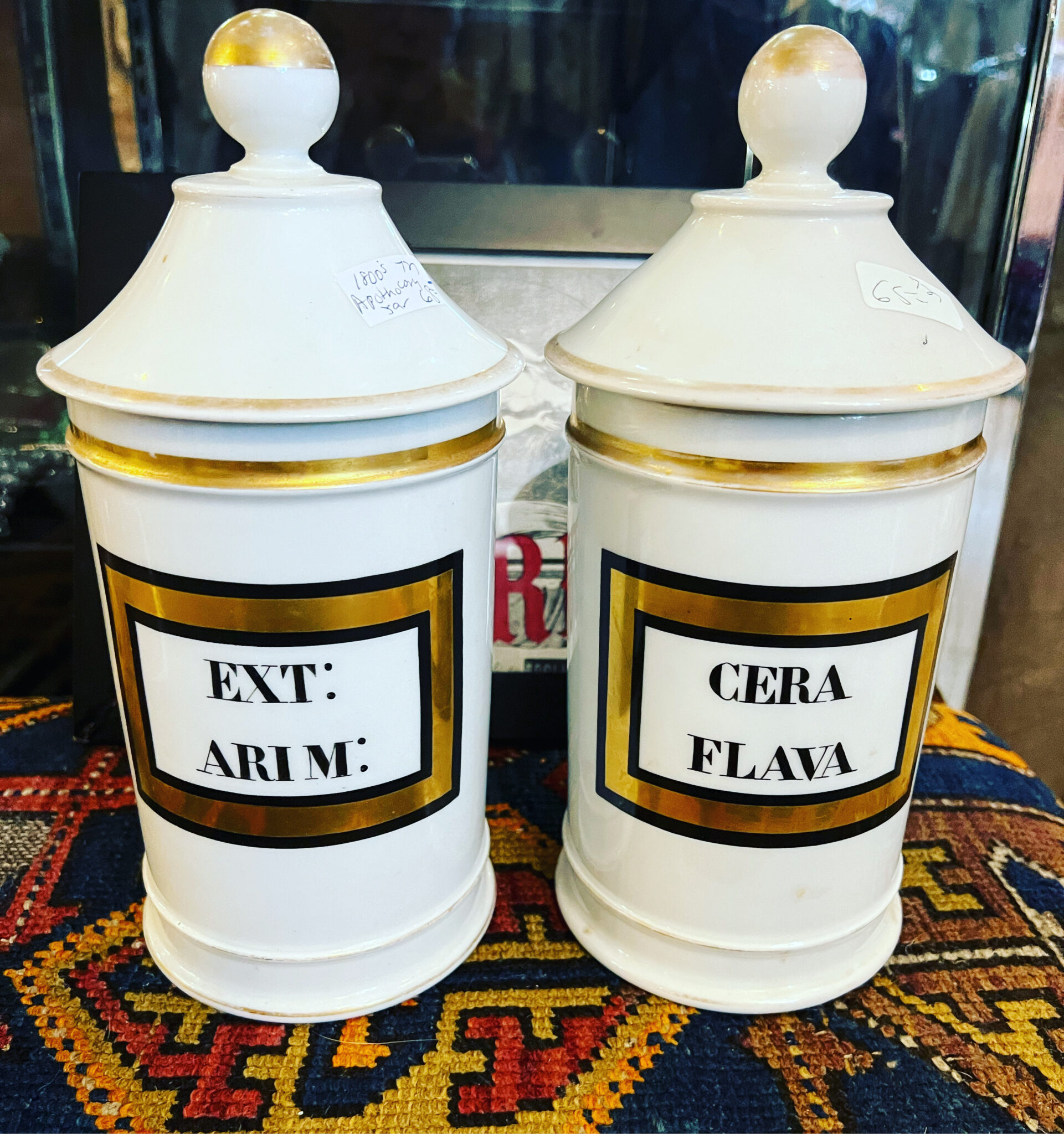 medical | DOLLY PYTHON