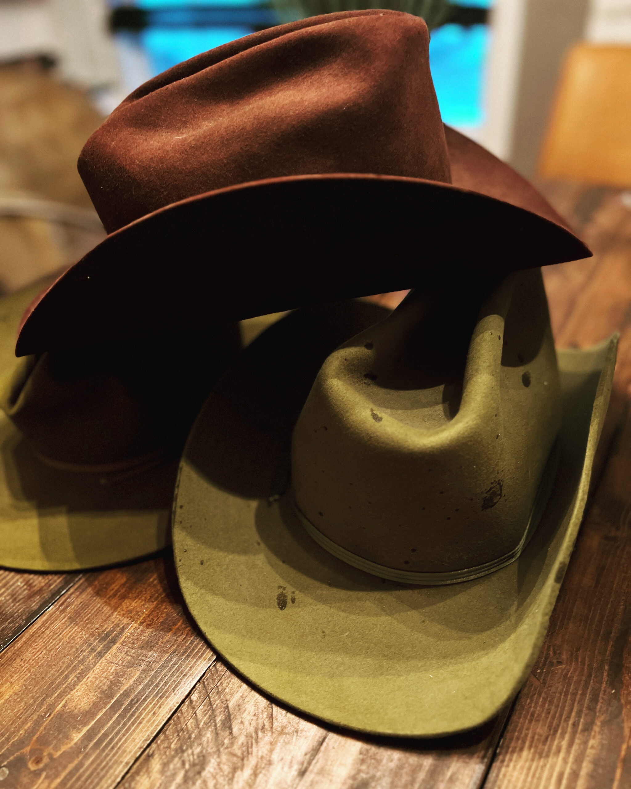 Ranch Wear | DOLLY PYTHON