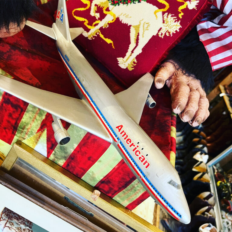 aviation | DOLLY PYTHON