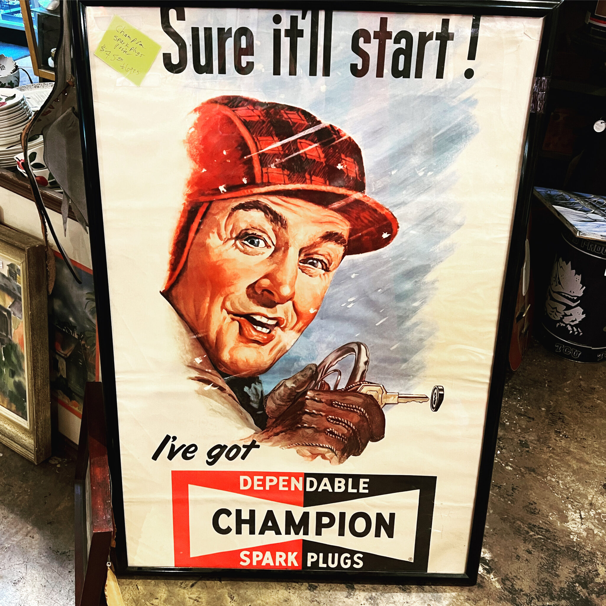 Advertising | DOLLY PYTHON