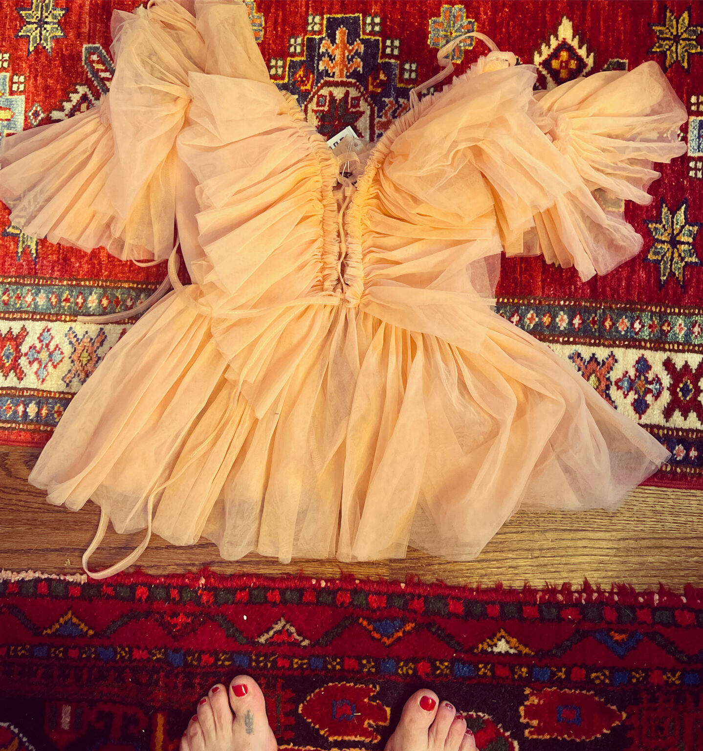 erotica | DOLLY PYTHON