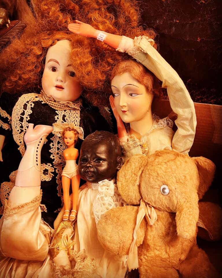 dolls | DOLLY PYTHON