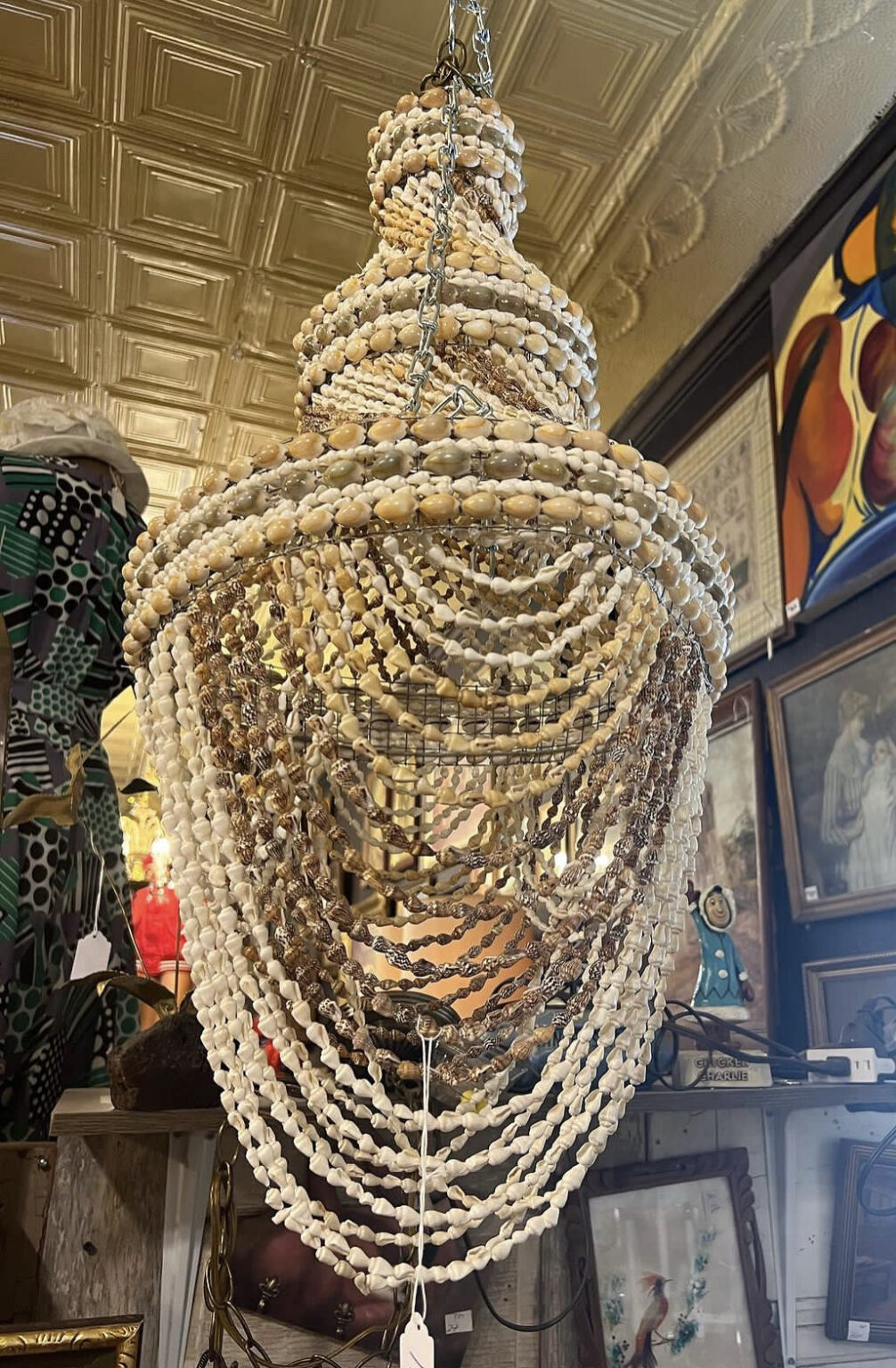 lighting | DOLLY PYTHON