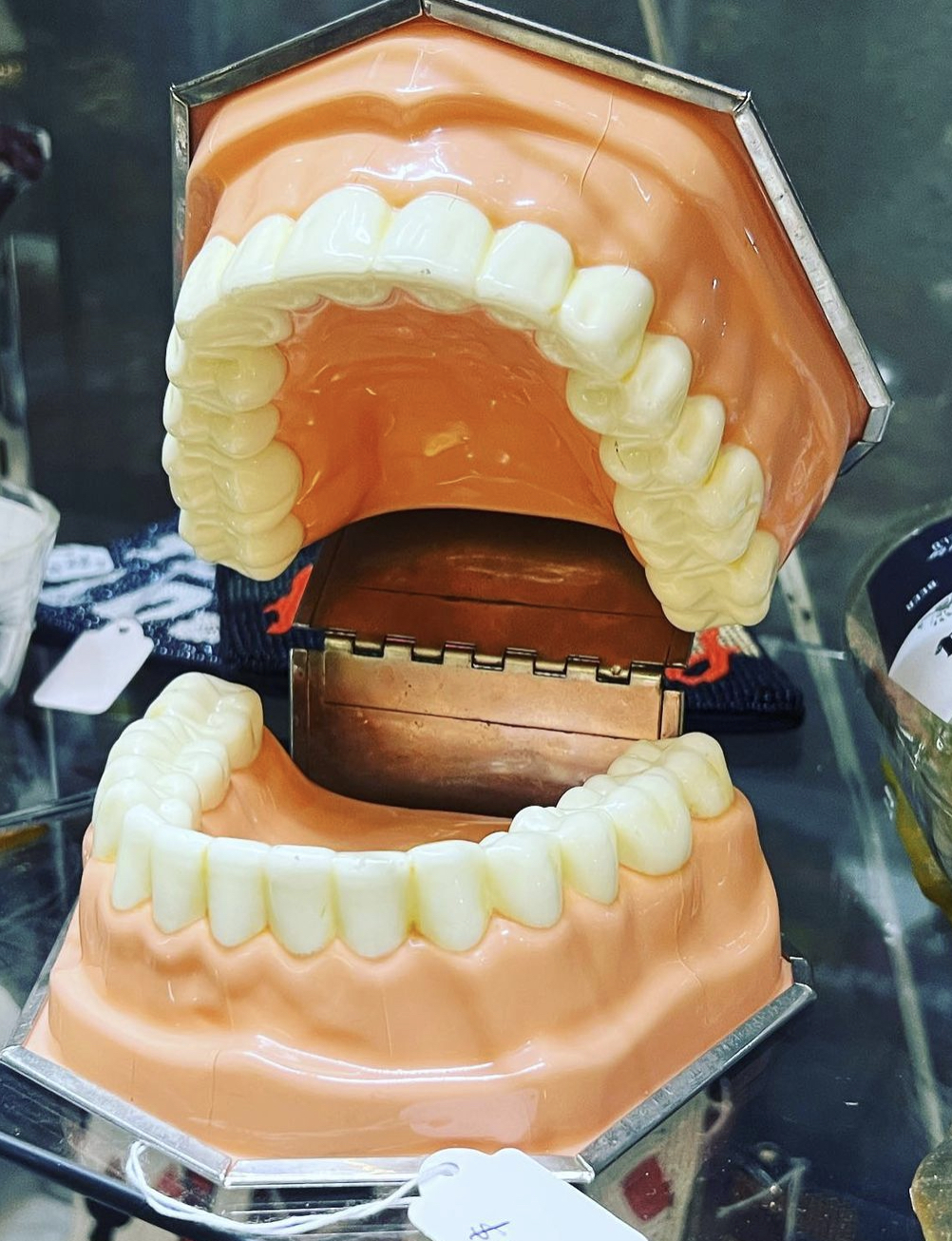 medical | DOLLY PYTHON