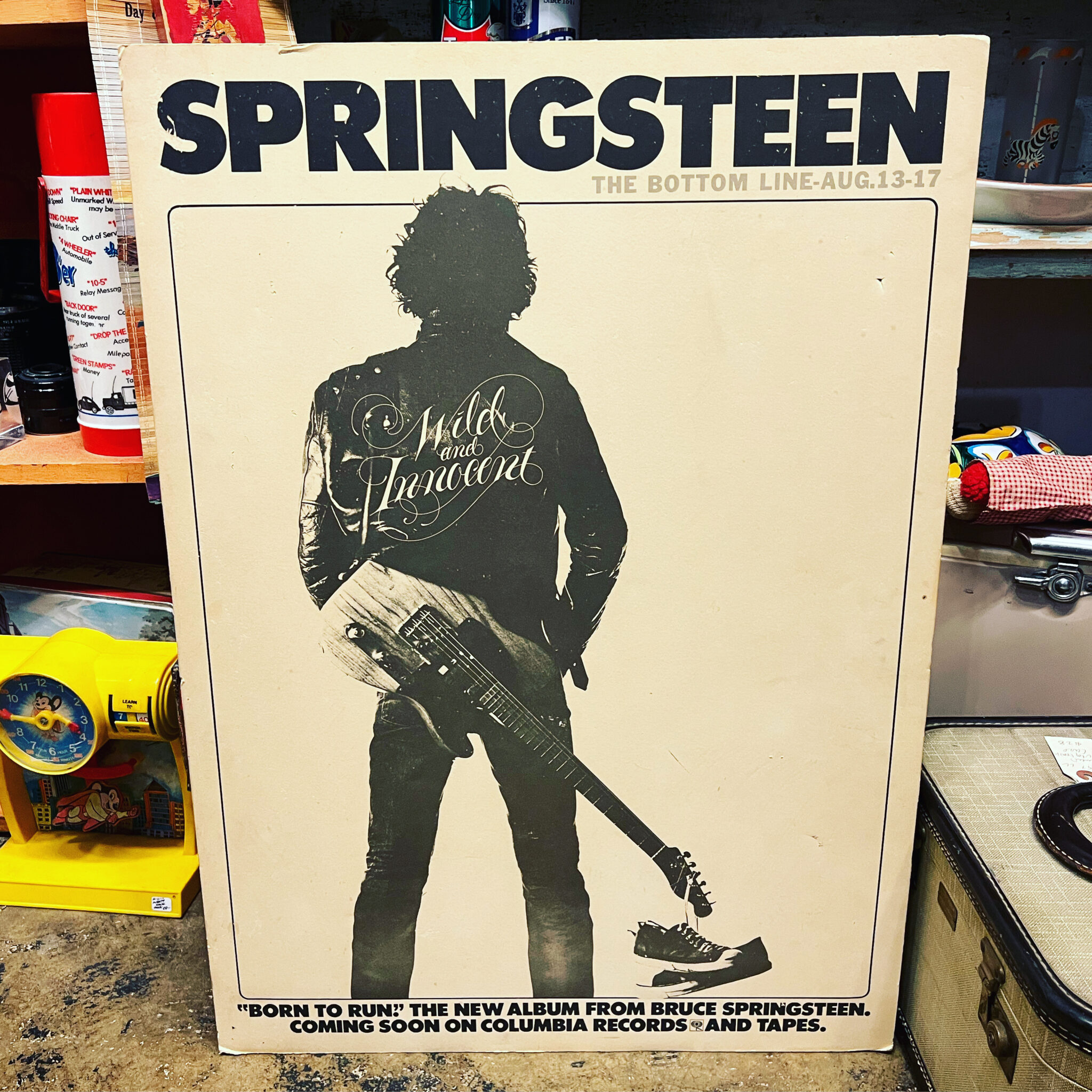 Advertising | DOLLY PYTHON