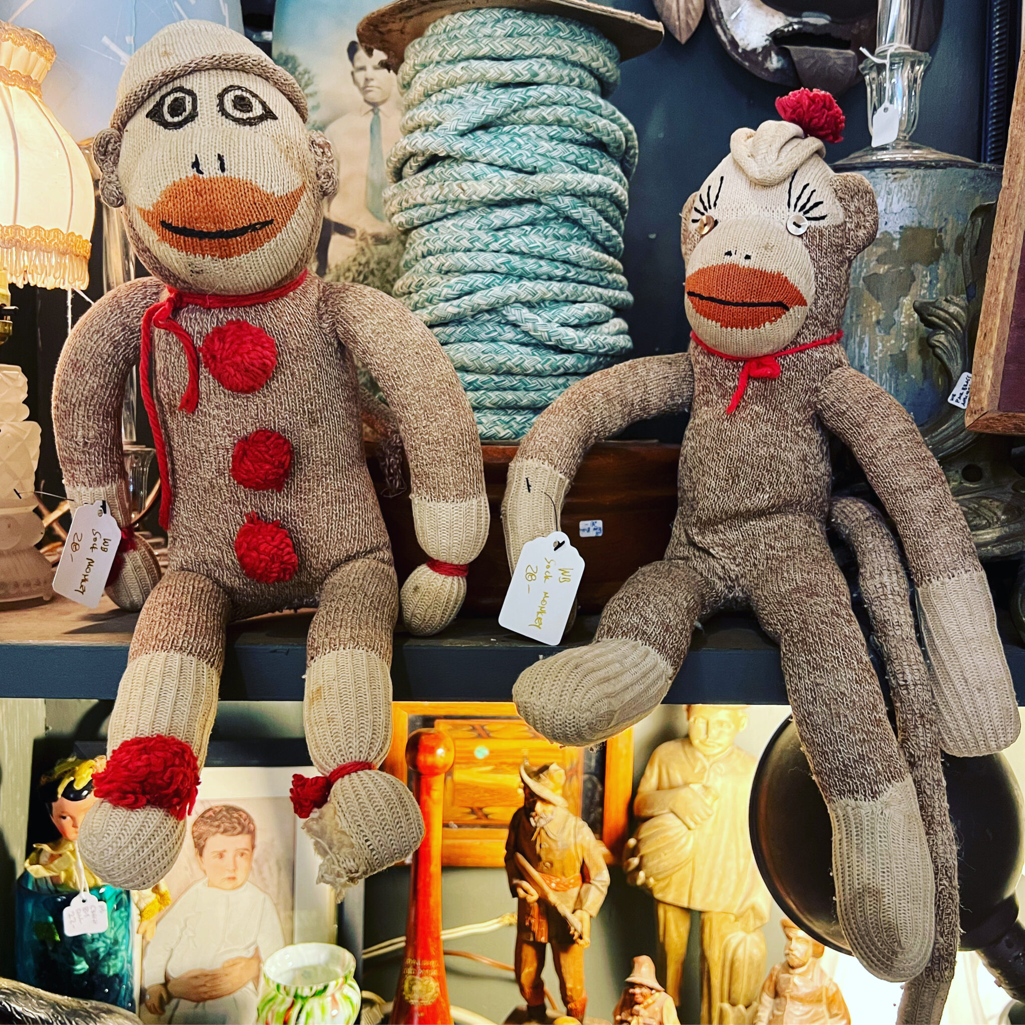 dolls | DOLLY PYTHON