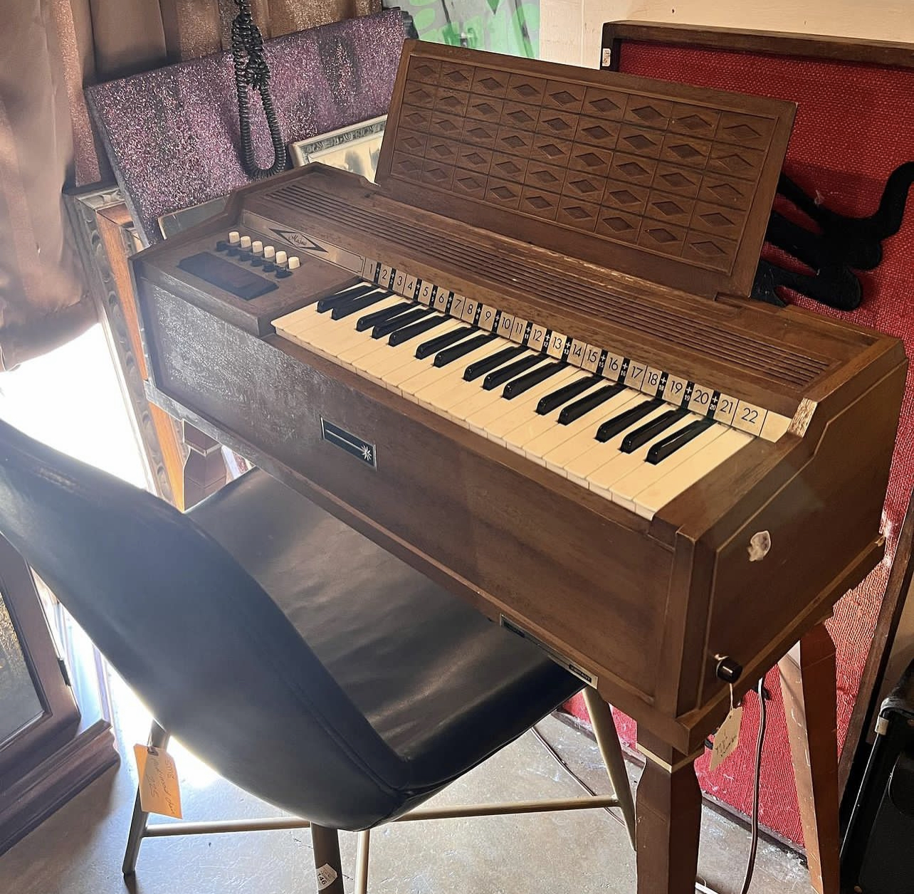 Organ Master | DOLLY PYTHON