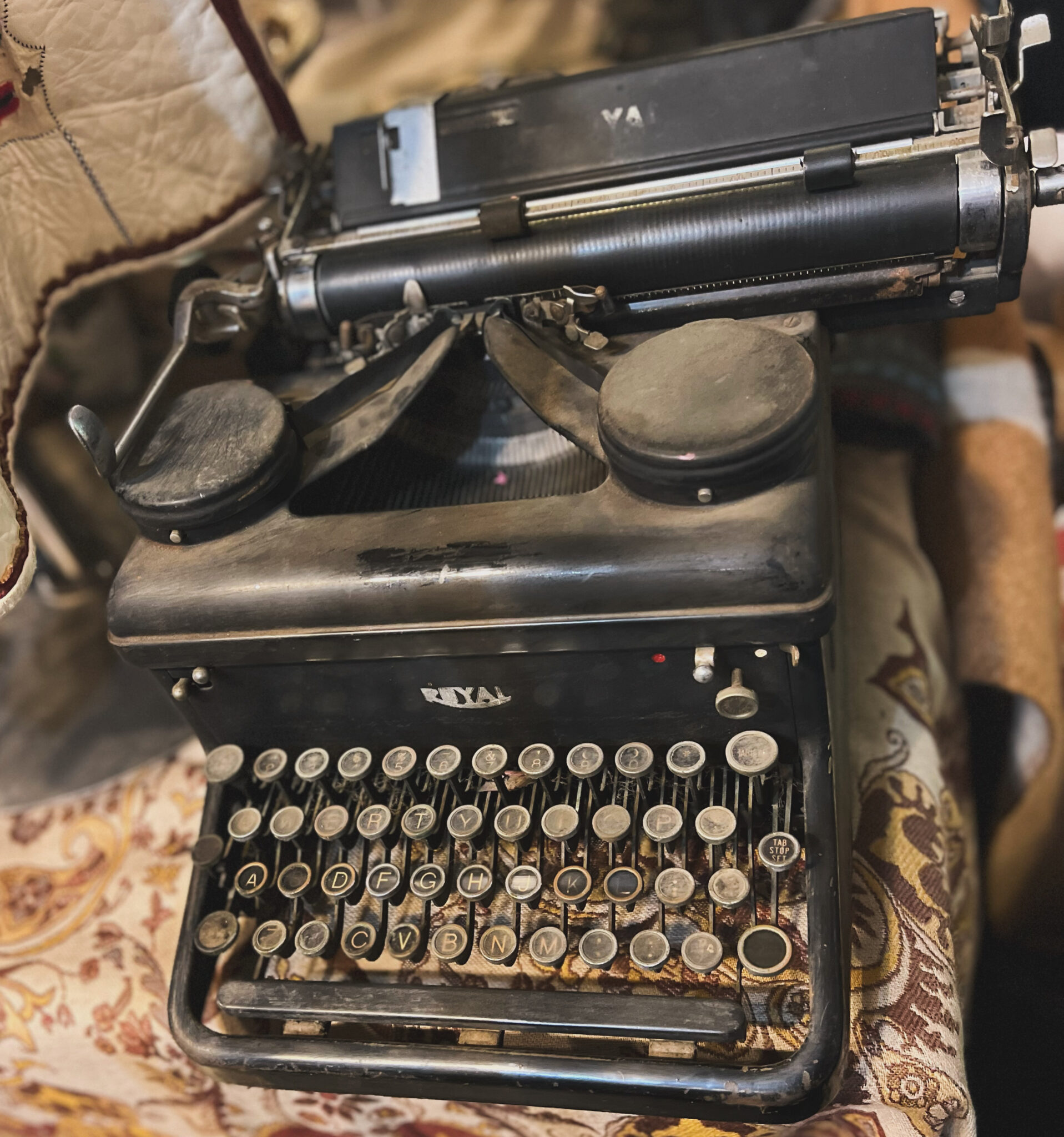 DOLLY PYTHON | Page 3