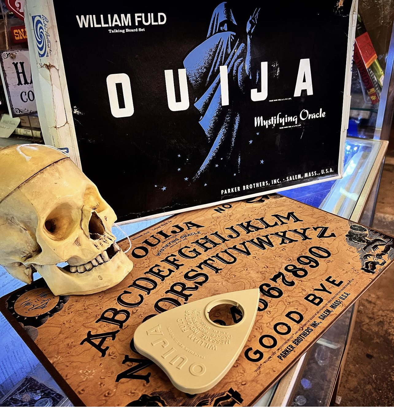 weird | DOLLY PYTHON