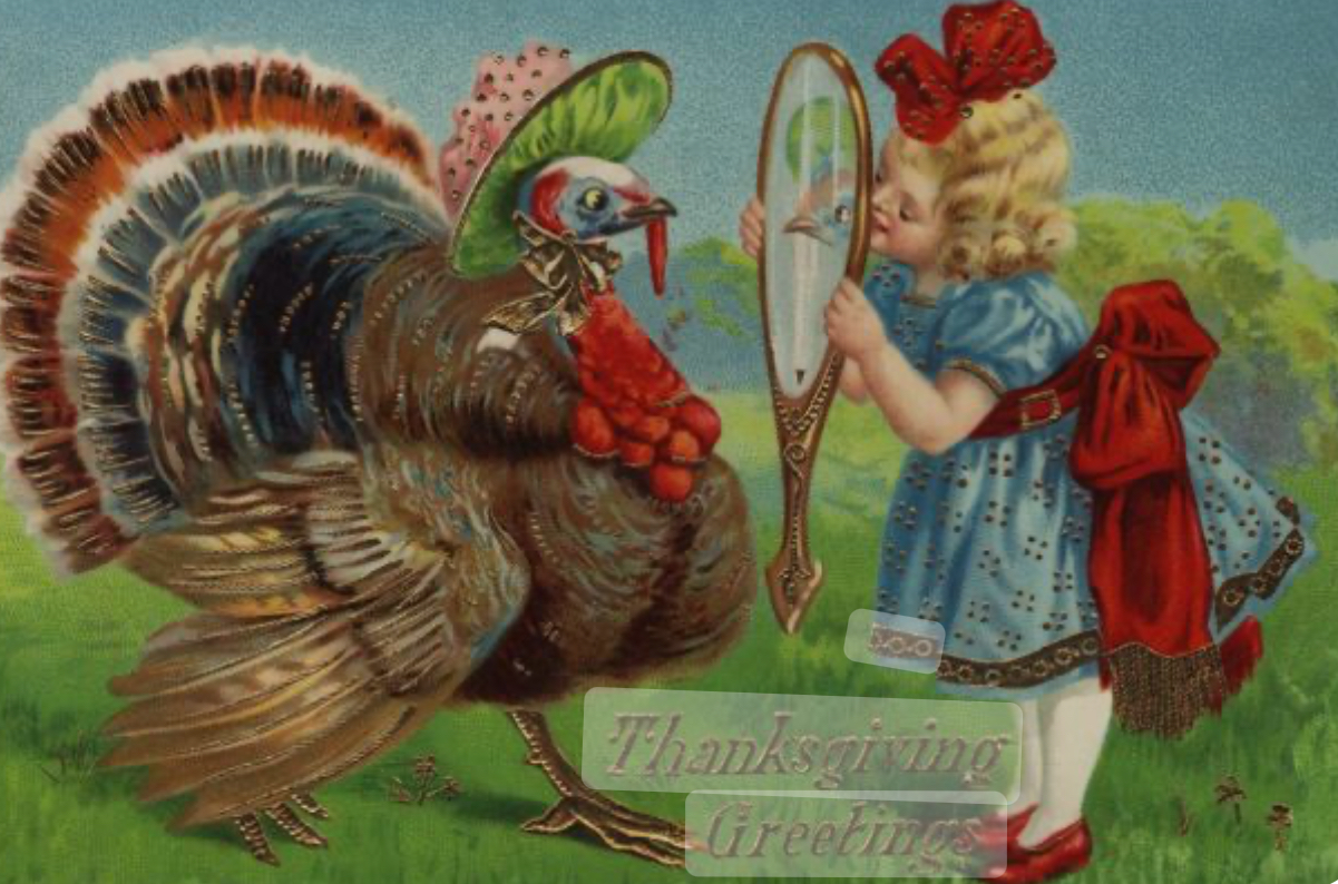 DOLLY PYTHON | Page 2