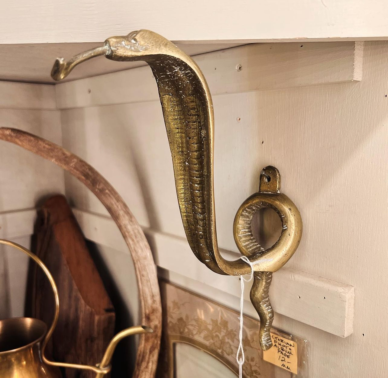 DOLLY PYTHON | Page 2