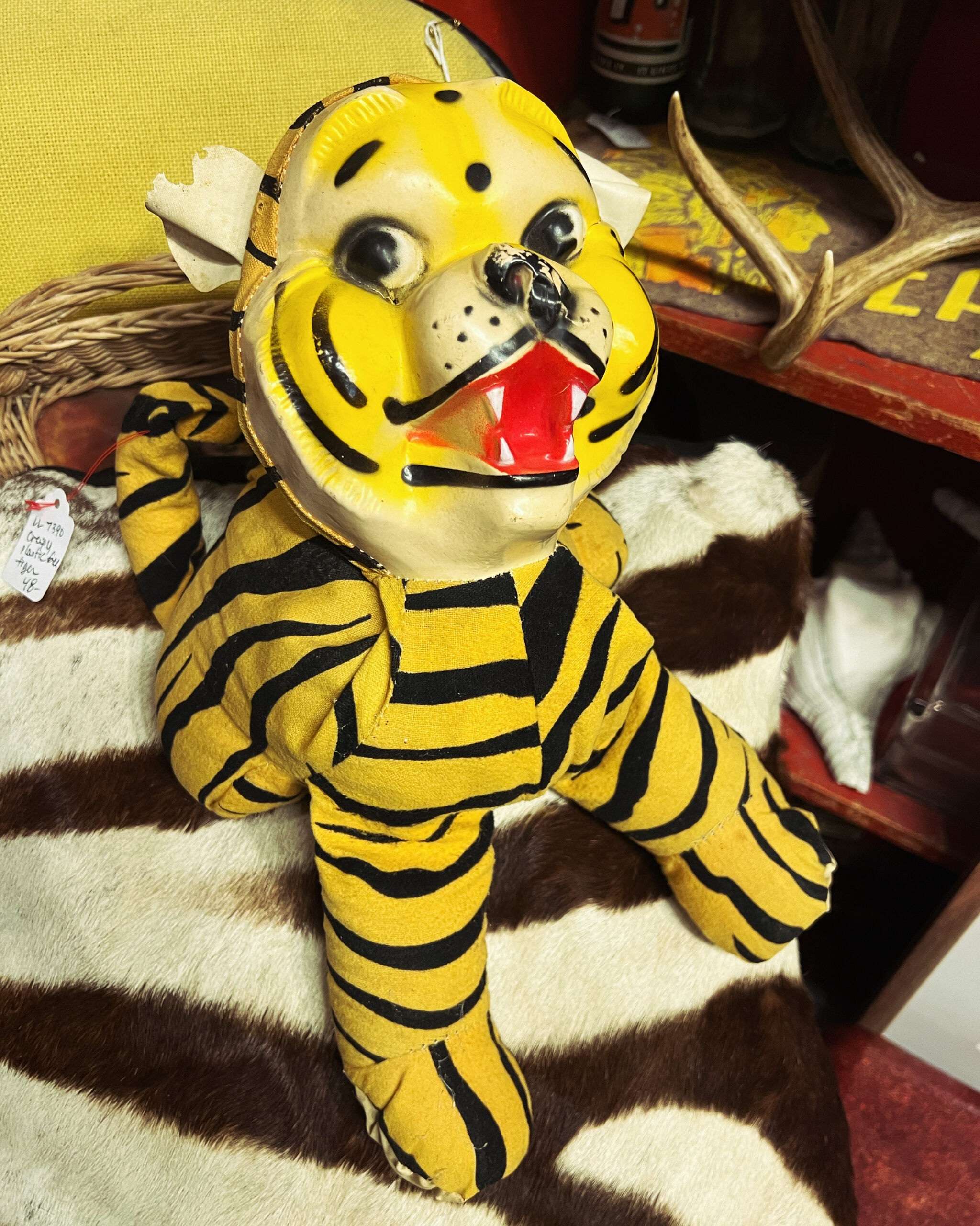 DOLLY PYTHON | Page 5