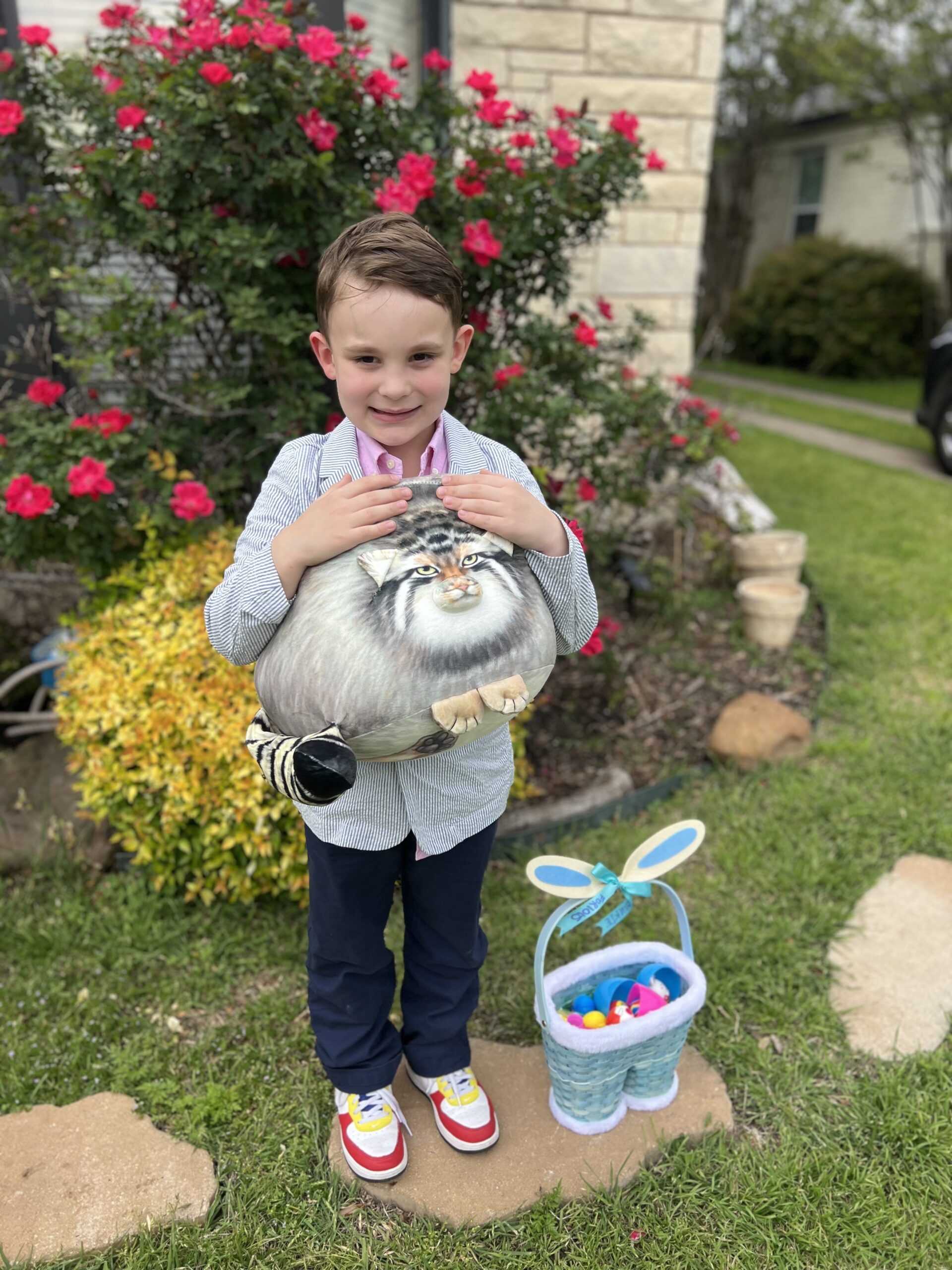 DOLLY PYTHON | Page 5