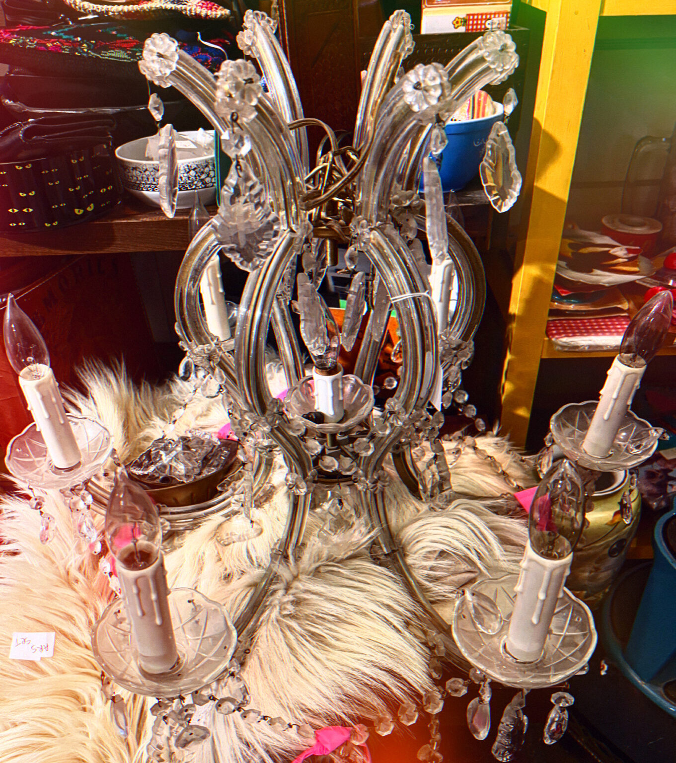 lighting | DOLLY PYTHON