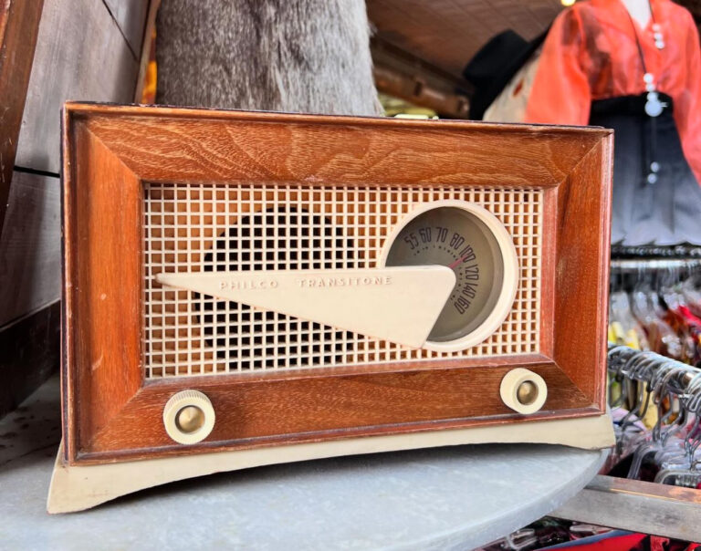 Nostalgia | DOLLY PYTHON