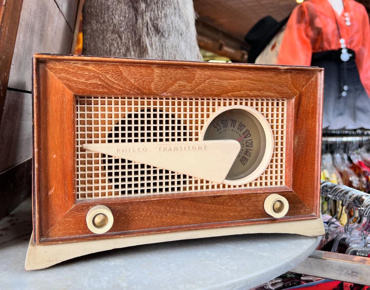 Nostalgia | DOLLY PYTHON