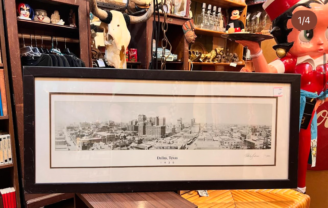 photos | DOLLY PYTHON