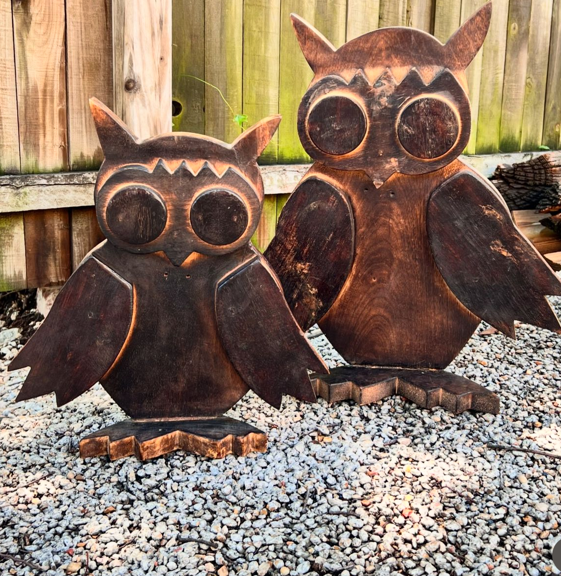 DOLLY PYTHON | Page 5