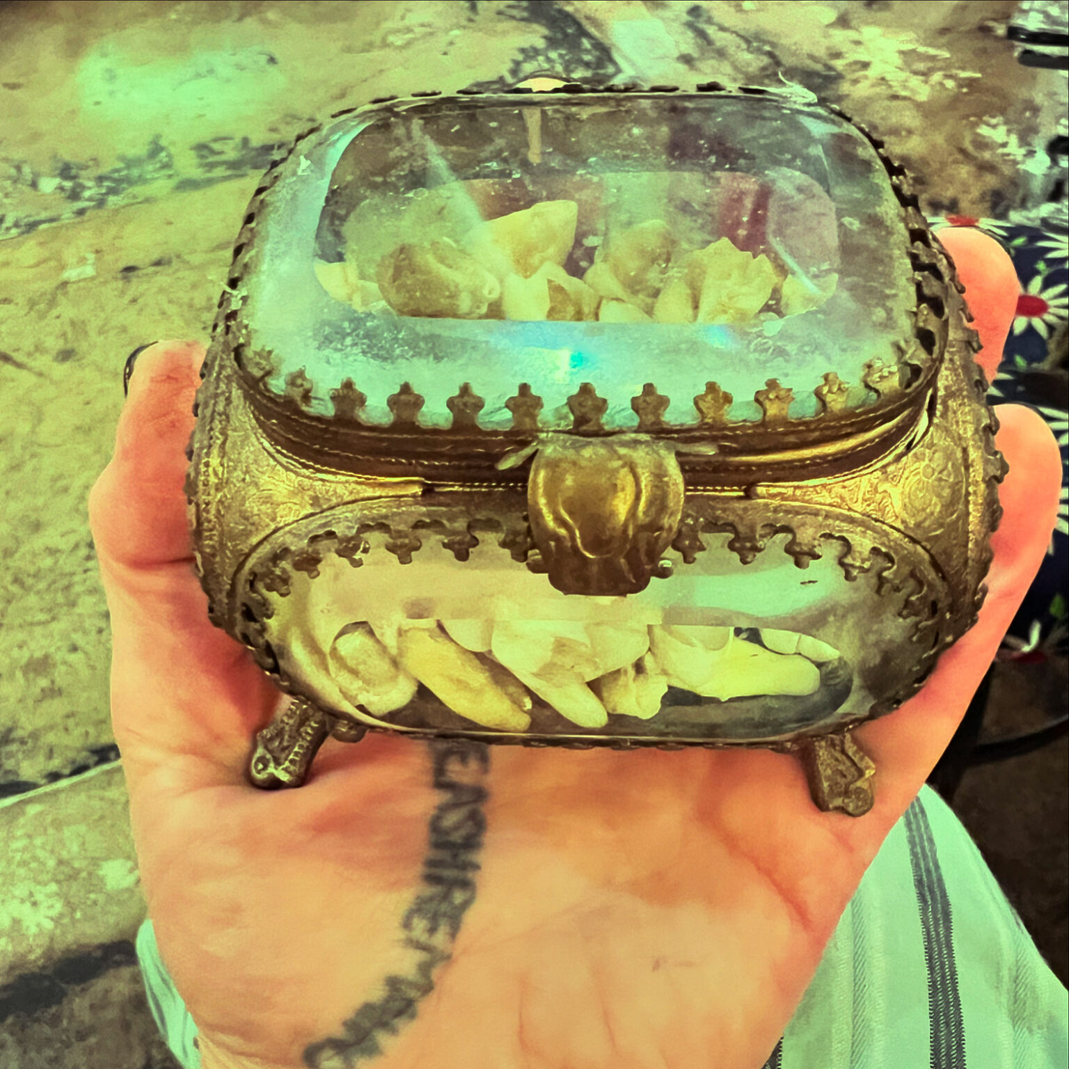 weird | DOLLY PYTHON