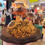 kitsch | DOLLY PYTHON