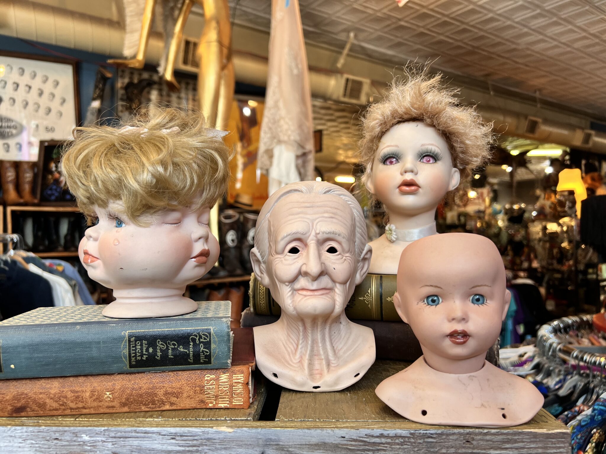 dolls | DOLLY PYTHON