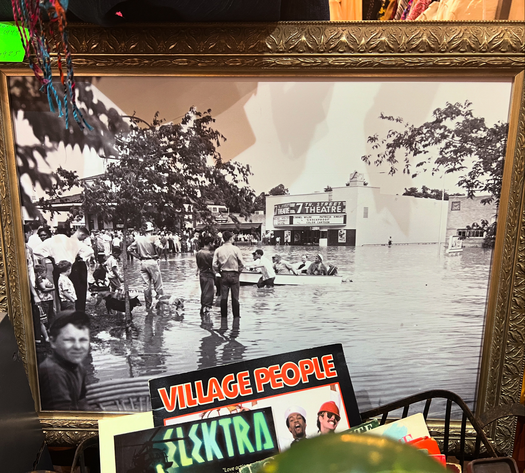 Uncategorized | DOLLY PYTHON