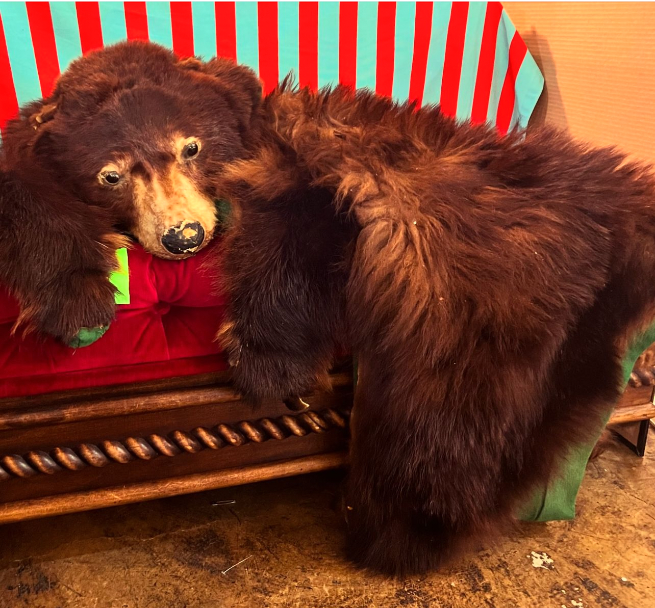 taxidermy | DOLLY PYTHON