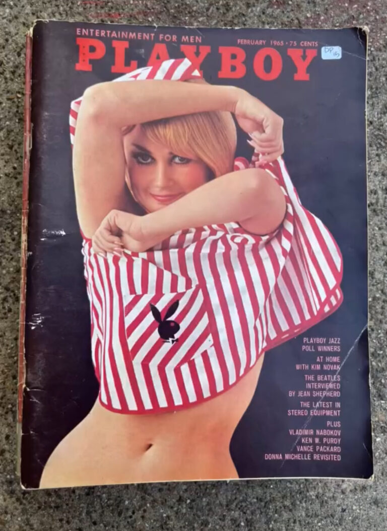 erotica | DOLLY PYTHON